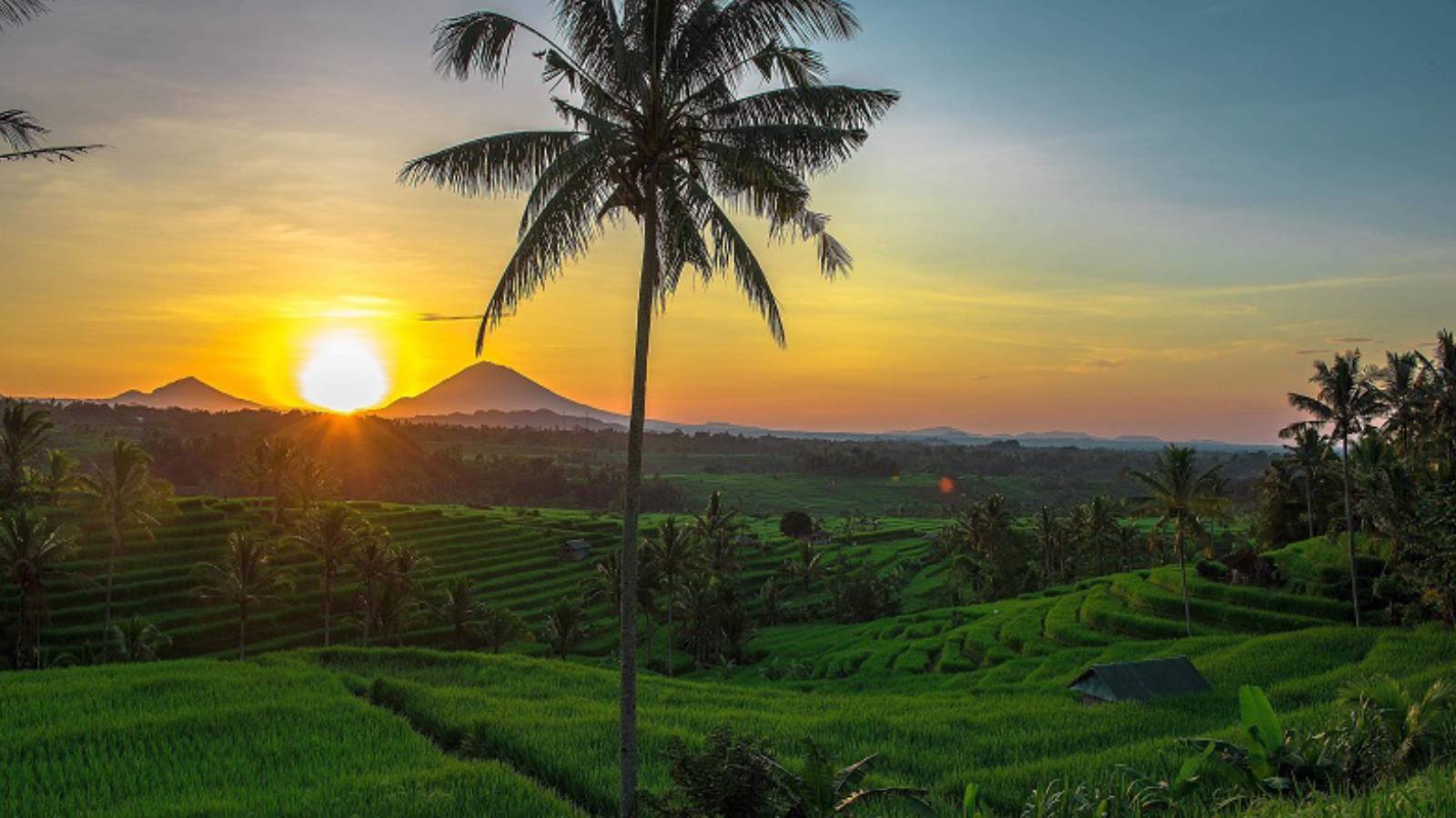 Bali's Top 10 Tourist Attractions: Ultimate Travel Guide - Tropialis ...